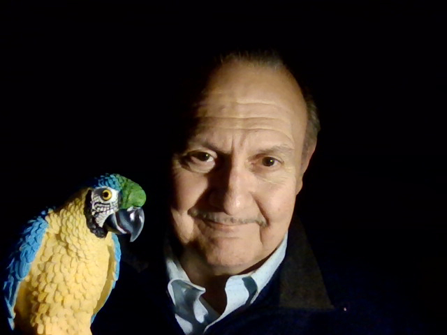 SingSnap - ben_cabot - The Birds And The Bees